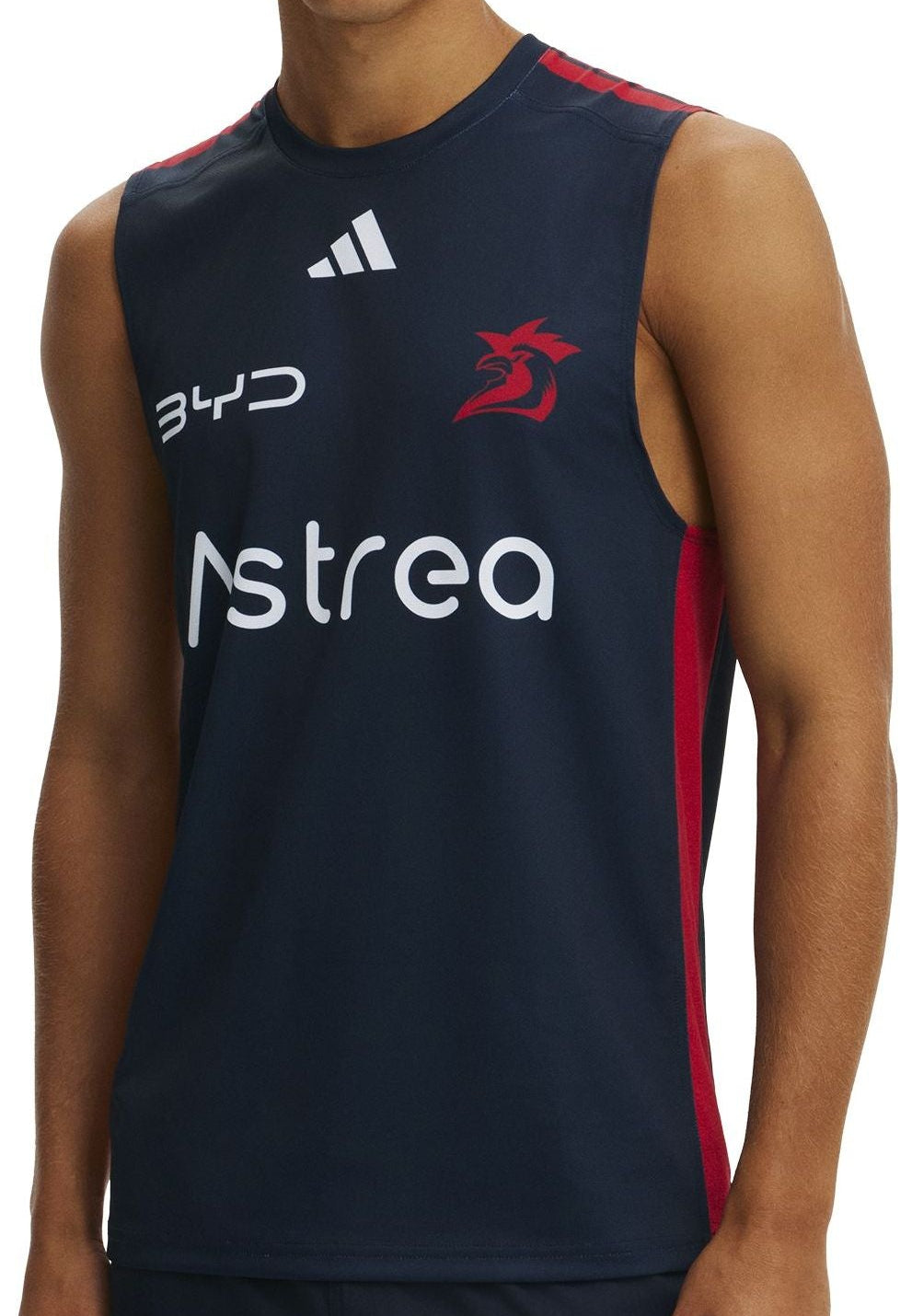 Sydney Roosters 2026 NRL Mens Navy Training Singlet | 9632992-01 ...